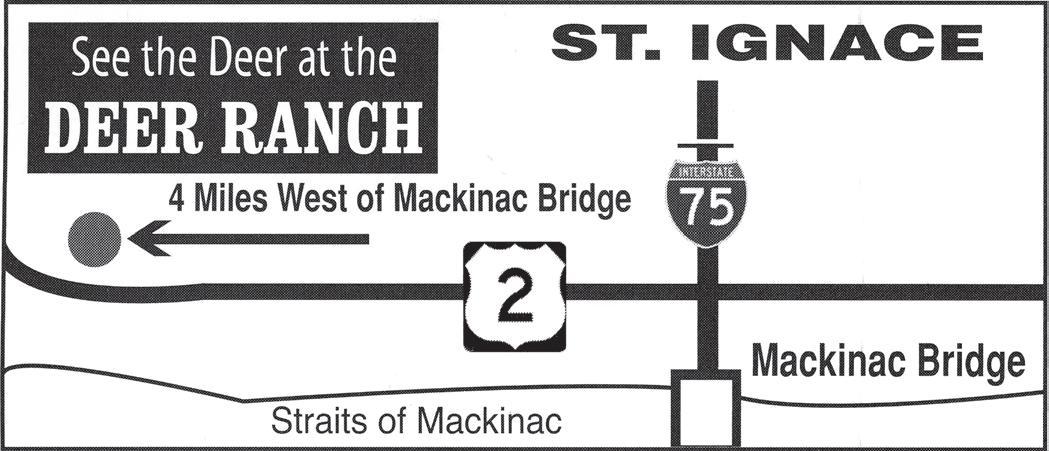 Deer Ranch St. Ignace Michigan | See Whitetail Deer and Fawns